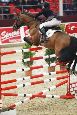 Moritzburger Landbeschäler in Neustadt/ Dosse zum CSI siegreich: SGV ...