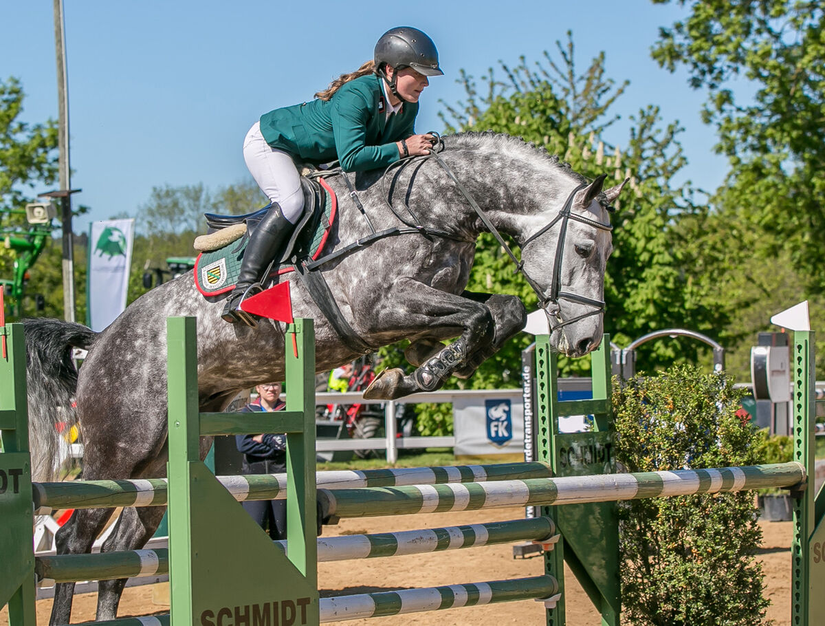 Sieg für LIMBACH in Jößnitz: SGV - Sächsische Gestütsverwaltung