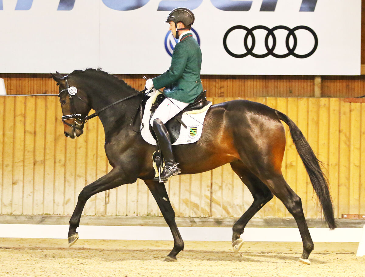 Turniersportergebnisse: SGV - Sächsische Gestütsverwaltung