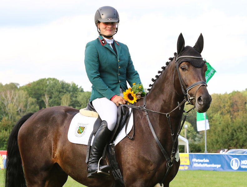 Bronzerang für Quizado im Landeschampionat: SGV - Sächsische Gestütsverwaltung