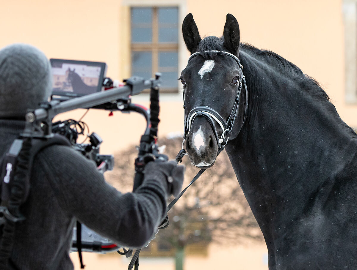 Tom Hengst Im Interview Auf Dem Frauenfeld 2024 – TMBI