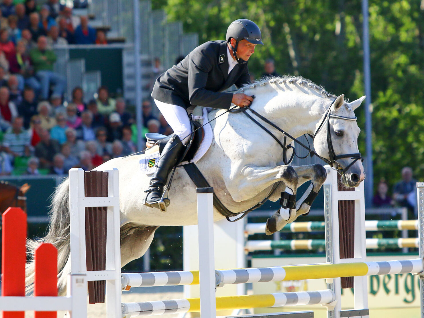 Hengstparaden: SGV - Sächsische Gestütsverwaltung