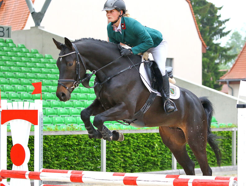 Siegesserie beim ersten Moritzburger Jungpferdeturnier: SGV - Sächsische Gestütsverwaltung