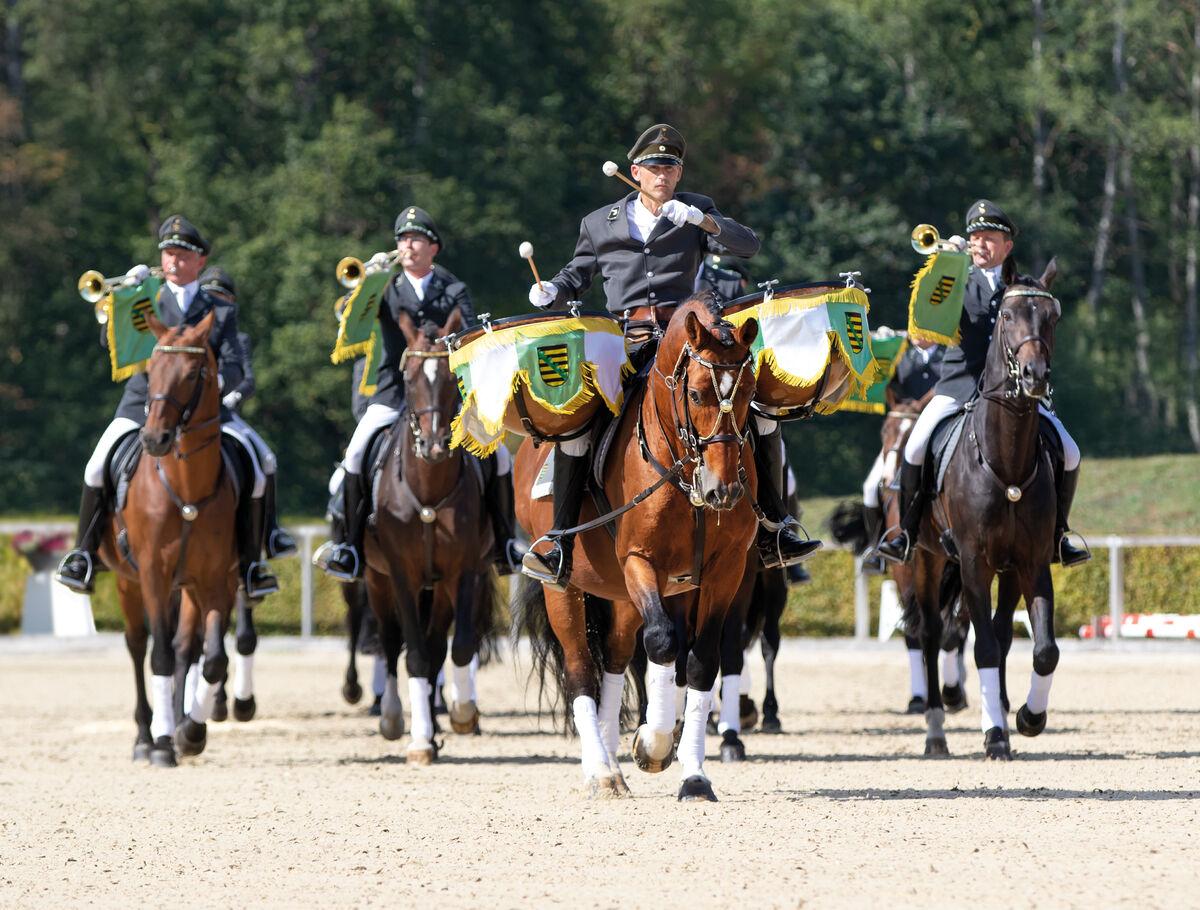 Besucherinformationen zur 1. Moritzburger Hengstparade 2025: SGV ...