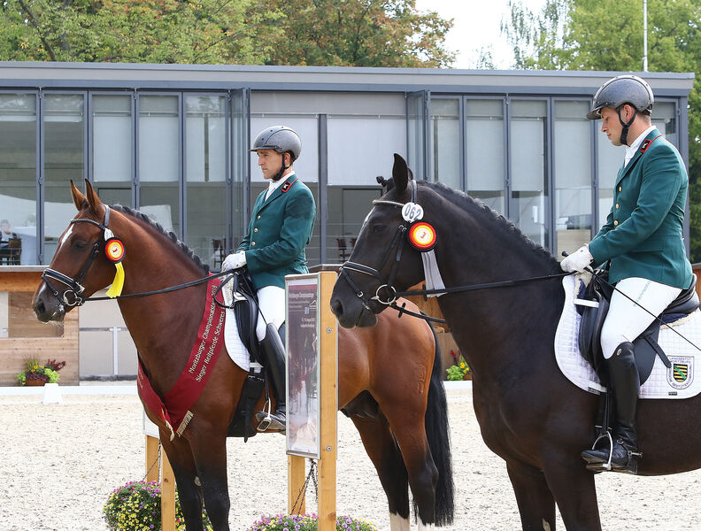 STARINO wird Bundesschampion: SGV - Sächsische Gestütsverwaltung