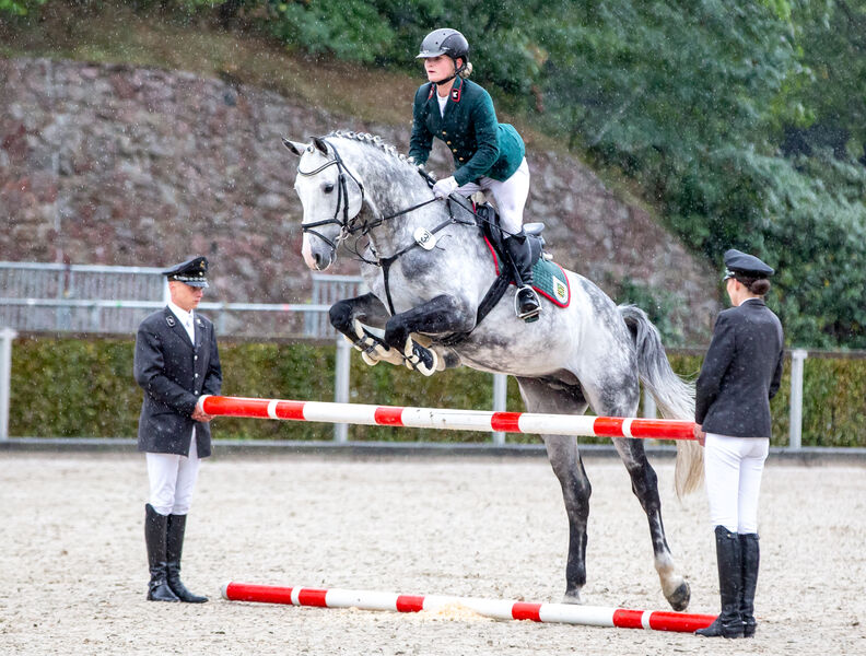 Gelungener Abschluss der Hengstimpressionen: SGV - Sächsische Gestütsverwaltung