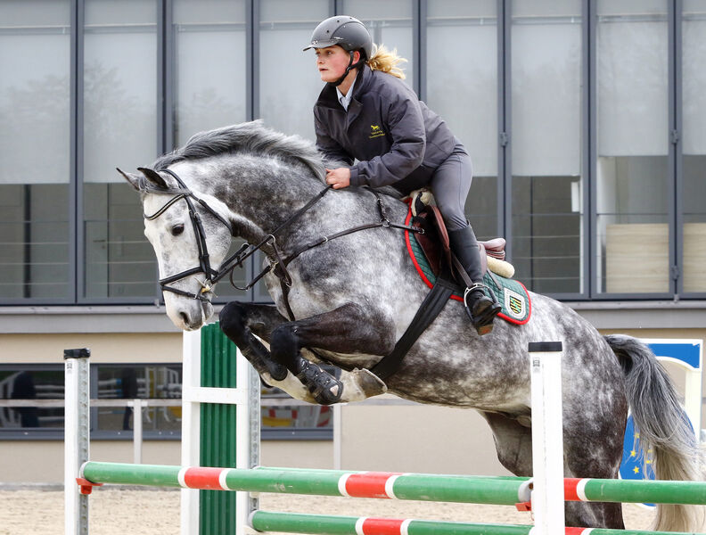 Springlehrgang mit Peter Teeuwen: SGV - Sächsische Gestütsverwaltung
